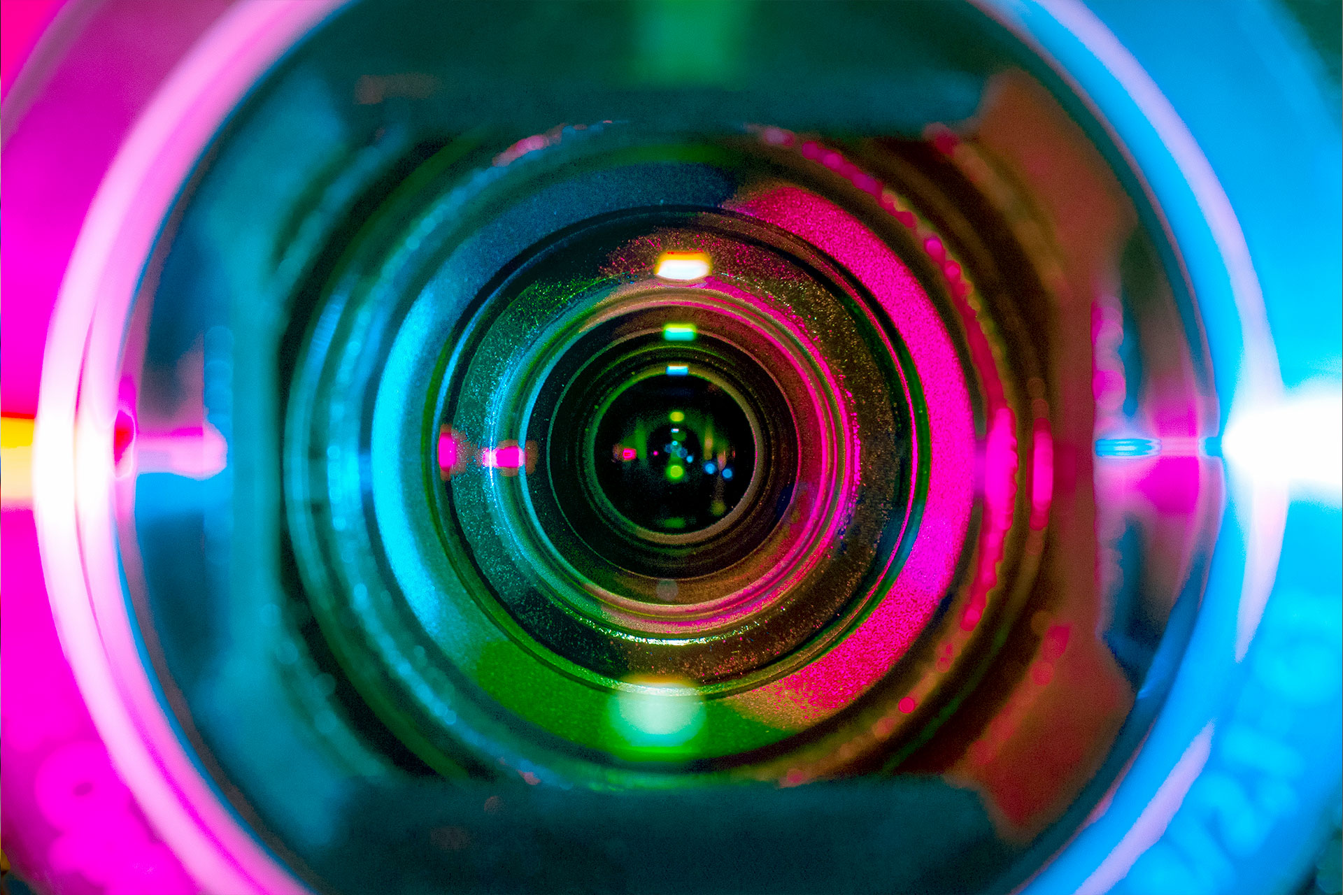 Behind the Lens: An Interview with Freed's Founders - Freed Photography