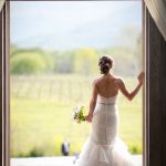 Gallery - Freed Photography