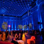 Gallery | Freed Photography