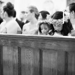 Gallery - Freed Photography