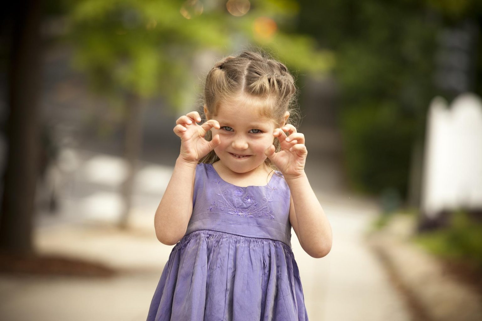 Gallery - Freed Photography